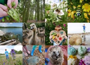 Urban Living and Nature » Coexisting in Urban Wild Spaces